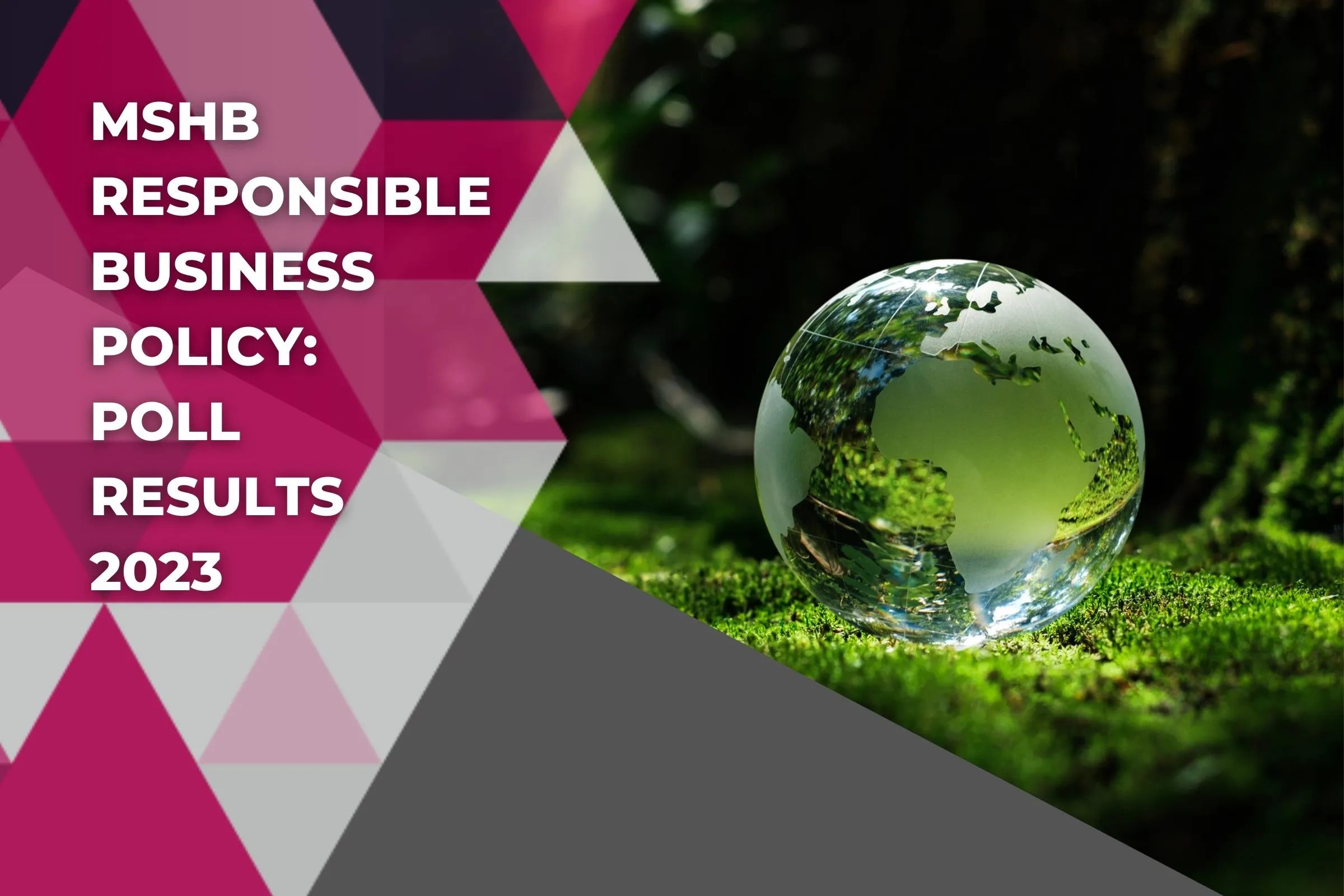 MSHB Responsible Business Policy: Poll Results 2023 - MSHB